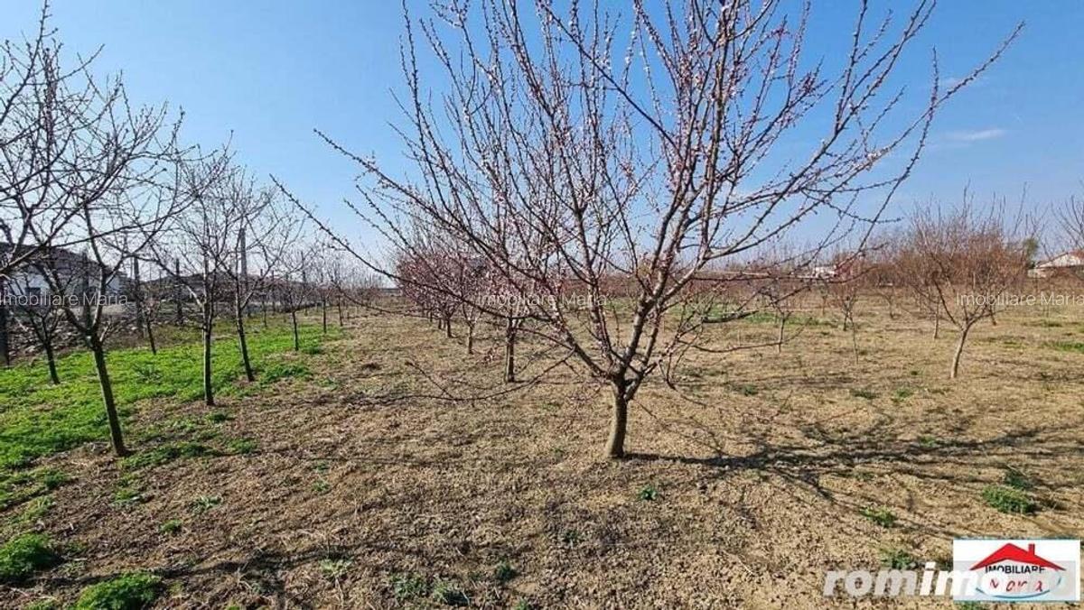 Teren intravilan 10 arii in Vetis ( ID 22844) | Imoradar24