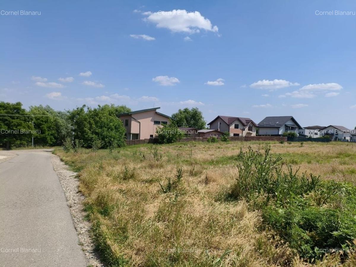 Loturi de teren - PUZ aprobat + proiect casa inclus! | Imoradar24