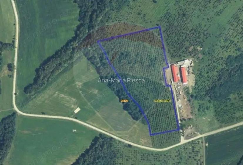 Teren 70,808mp ( sat Cuied - comuna Buteni ) | Imoradar24