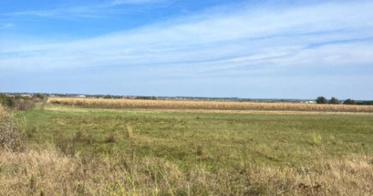 Teren extravilan, 2480 mp, Radauti | Imoradar24