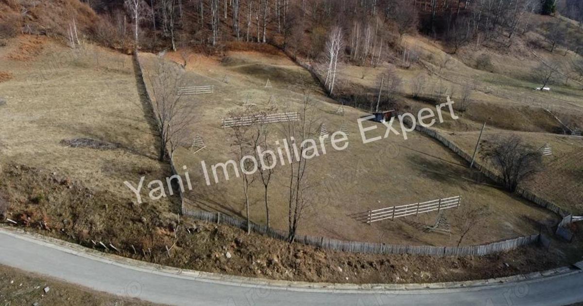 Teren de vanzare in comuna Cicane?ti, Jude? Arge?. | Imoradar24