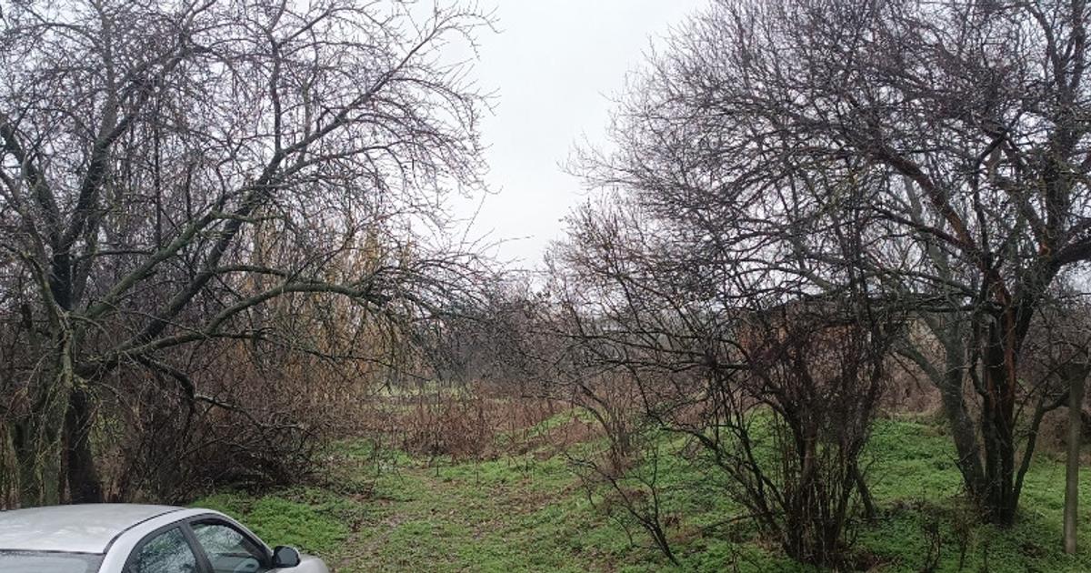 Teren de 1649 mp, în zona Central, Drăgănești-Olt preț € 28.000 ...