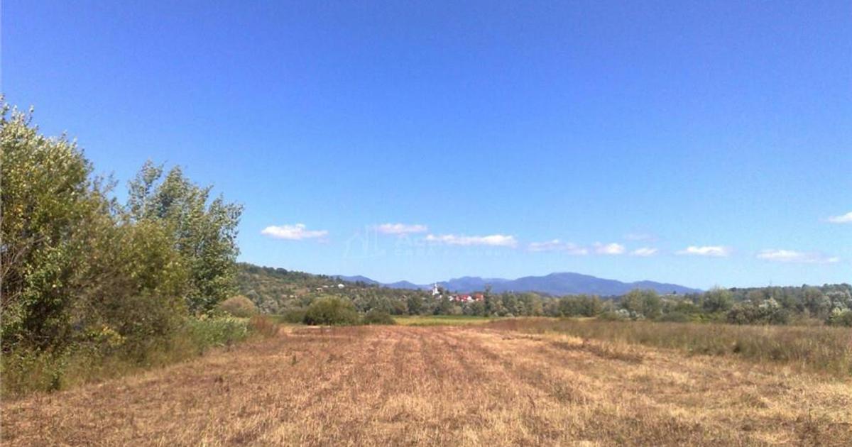 Teren intravilan 55 Ari Sacalaseni strada principala | Imoradar24