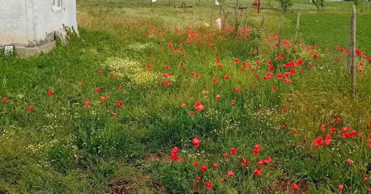 Casă cu 2 camere în Redea preț € 39.300 | Imoradar24