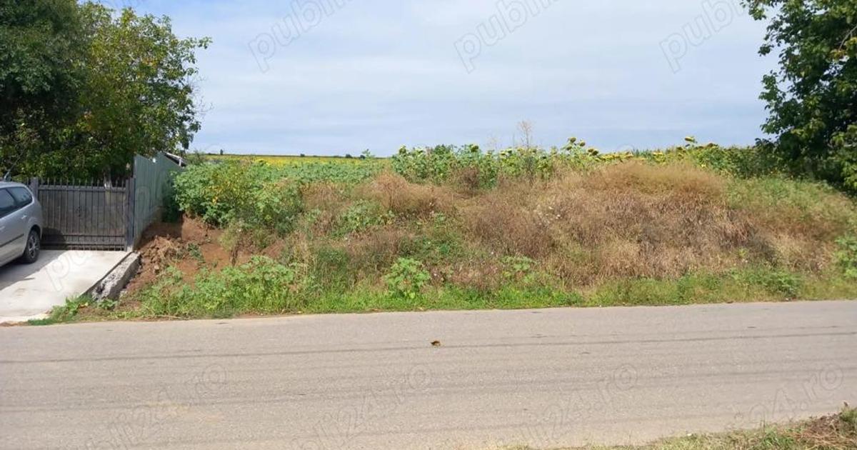 Teren strada Principala Zapodia Traian | Imoradar24