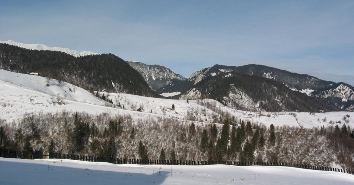 Sat Pestera, Rezervatia Piatra Craiului, Brasov, Casa plus teren 10 621 ...