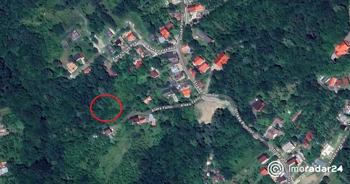 Teren de 6200 mp, în Cornu preț 12 € | Imoradar24