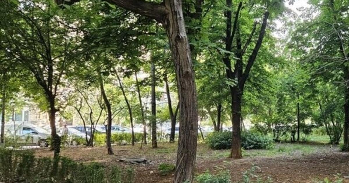 Drumul Taberei Favorit Metrou Bl TIP OS | Imoradar24