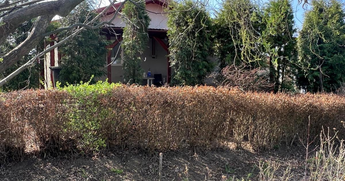 Casa -3 camere , Gruiu - Calarasi, teren 1476 mp | Imoradar24