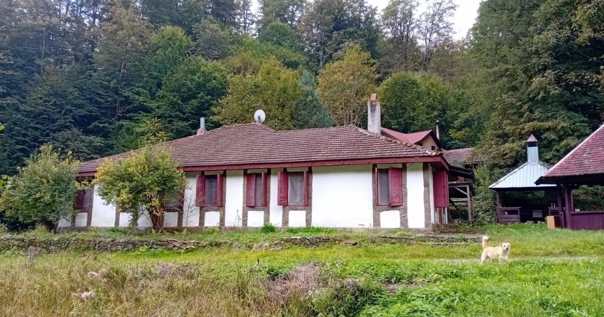Casa de vacanta Crivaia, langa Valiug -locatie idilica, ideala pentru ...