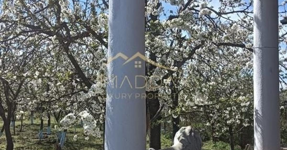 Vila 9 camere***gradina cu pomi fructiferi//1085 mp teren ...