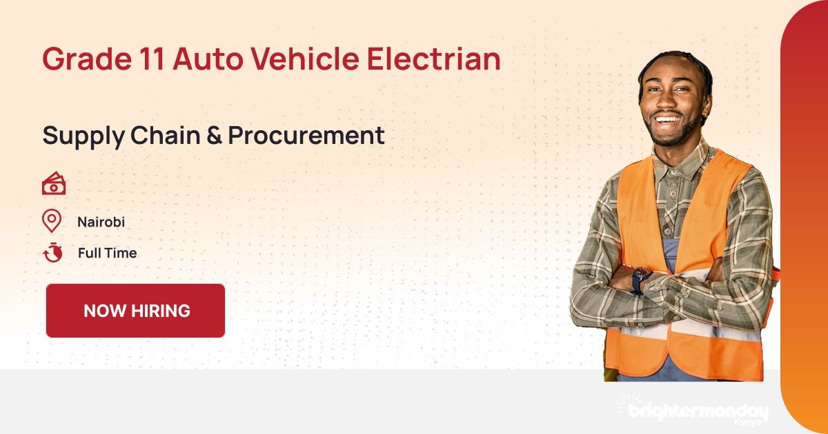 Grade 11 Auto Vehicle Electrian at Roverlane Motors Ltd | BrighterMonday