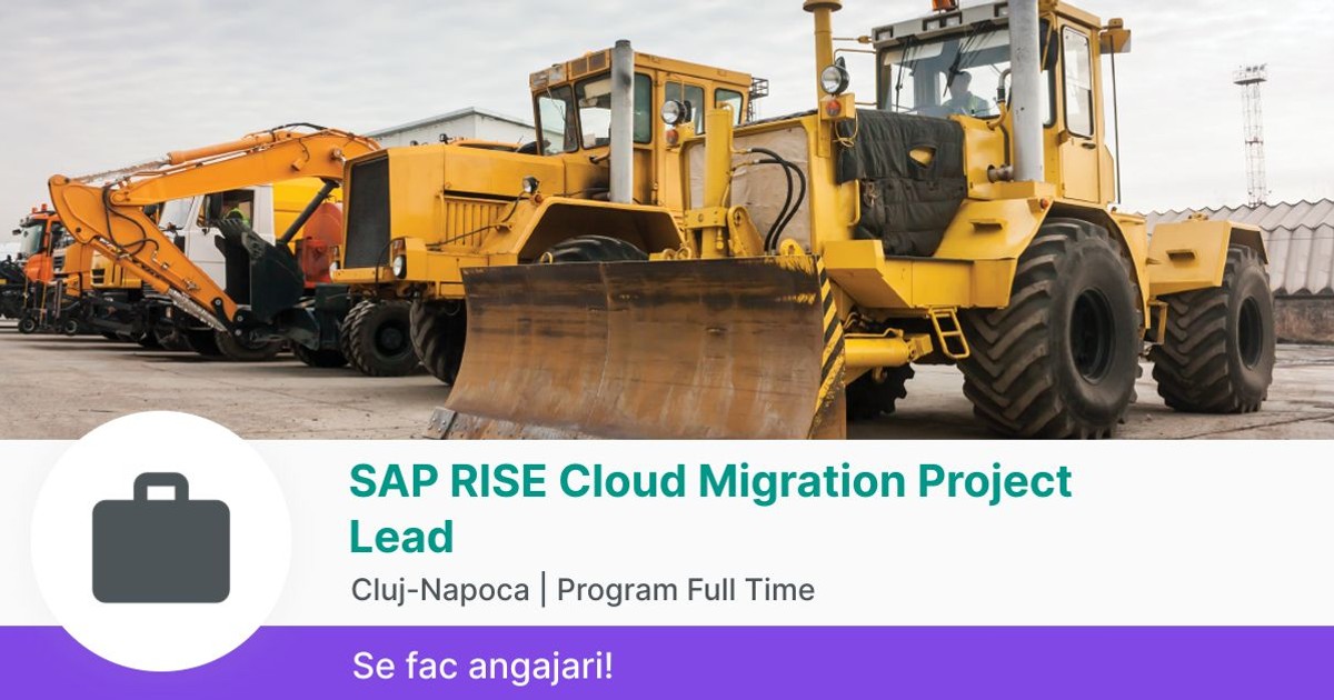 SAP RISE Cloud Migration Project Lead in Cluj-Napoca la NTT DATA Europe ...