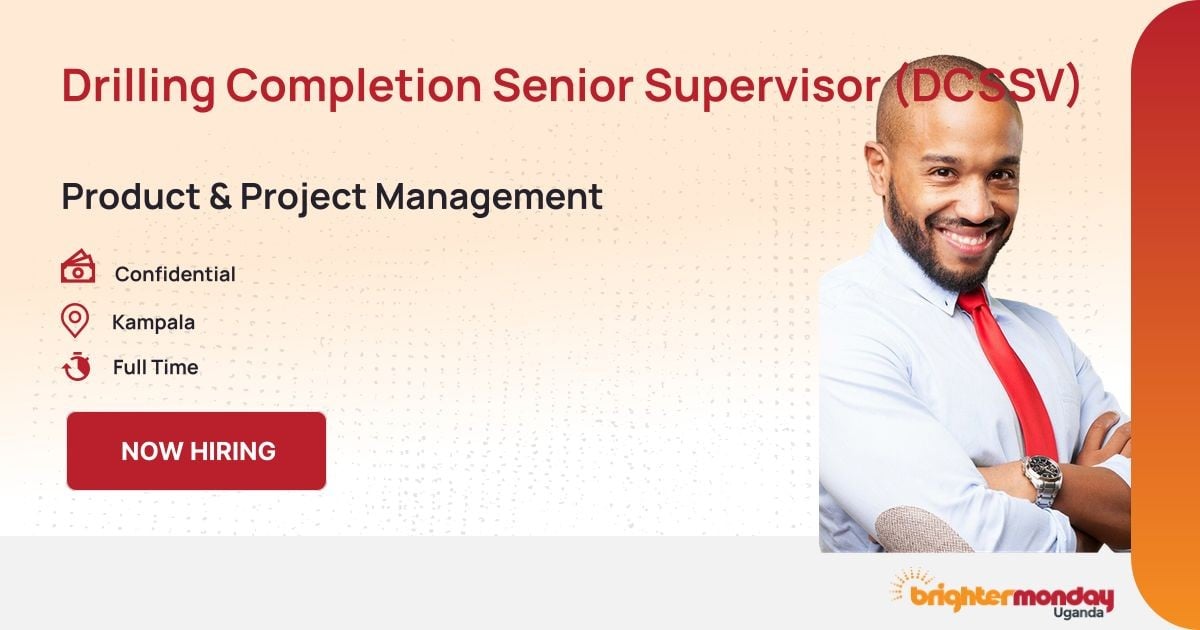 Drilling Completion Senior Supervisor (DCSSV) at TotalEnergies ...