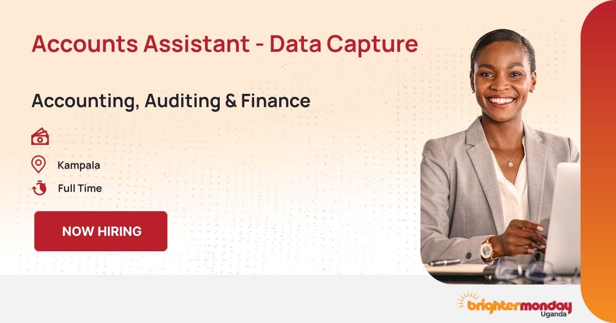 Accounts Assistant - Data Capture at Alliance One Tobacco | BrighterMonday