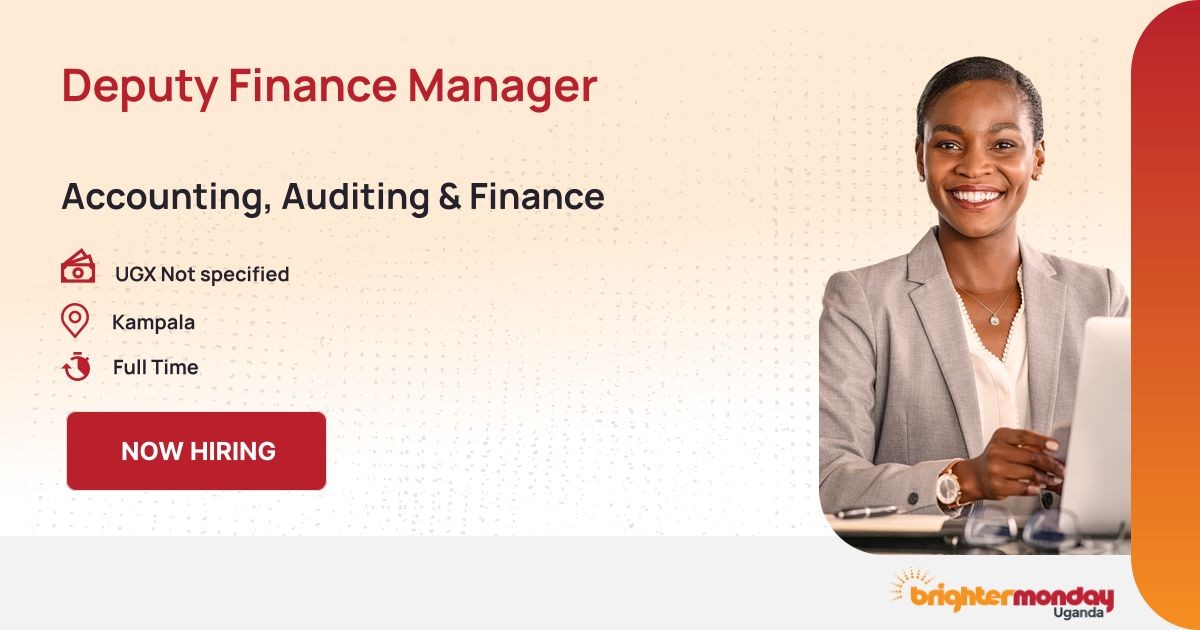 Deputy Finance Manager at Bringing Being into Business (BBB ...